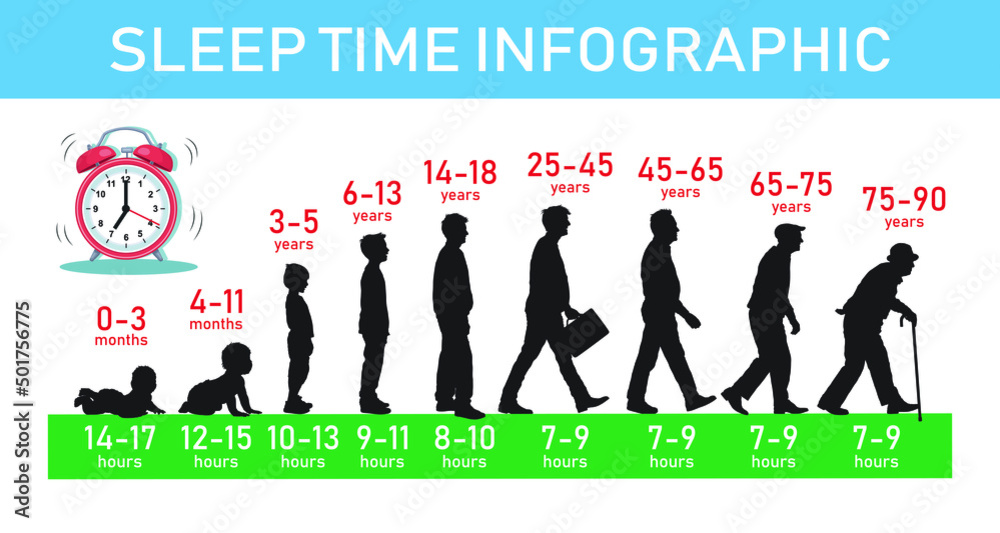 Vector de Stock Human healthy sleep duration by ages silhouette vector ...