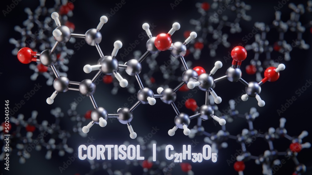 cortisol structure 3d