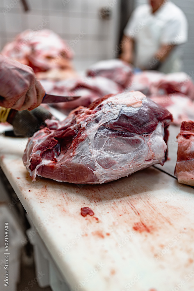 Experienced workers cutting fresh meat in a raw food processing plant ...