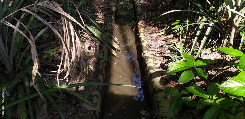 Polluted impure dirty dull brown color rainwater flowing through small ...