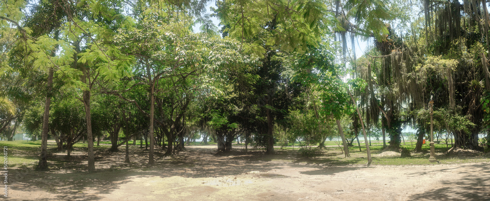 sea beach bay ocean water boat canoe fish fisherman nature clock ...