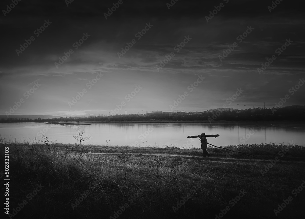 Person walking a country road carrying dry firewood. Peaceful sunset ...