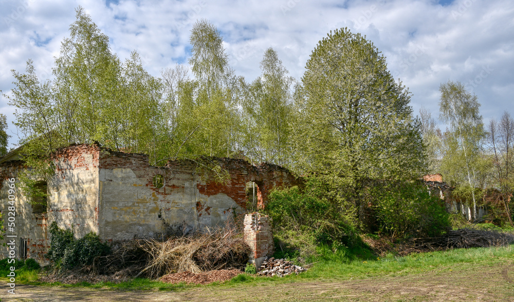 Schloss, Wirtschaftsgebäude, eingestürzt, Mauer, Außenmauer, Ruine ...