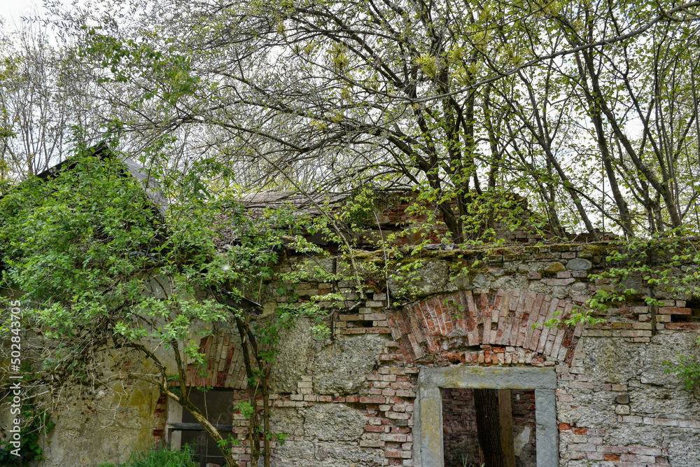 Schloss, Wirtschaftsgebäude, eingestürzt, Mauer, Außenmauer, Ruine ...