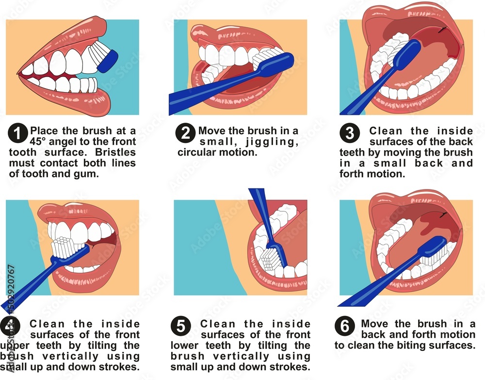 Steps of how to brush your teeth infographic diagram human mouth tooth surface clean inside gum ...