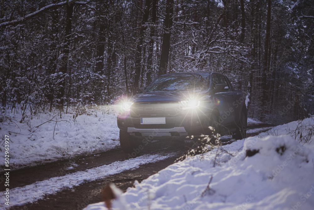 ford ranger raptor in forest Stock Photo | Adobe Stock