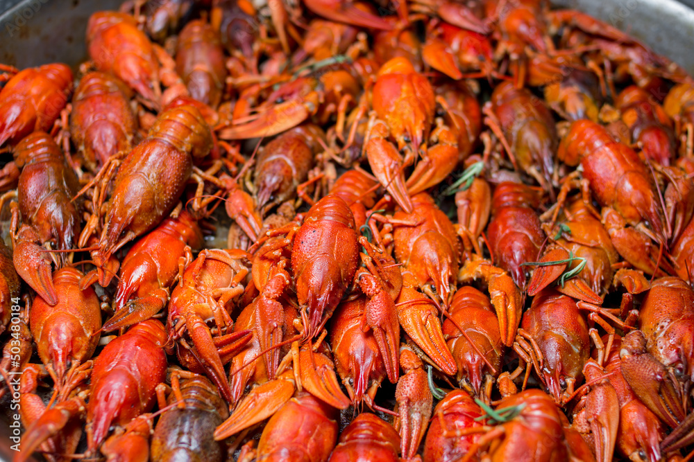 boiled crayfish on an iron plate. boiled red crayfish background for ...