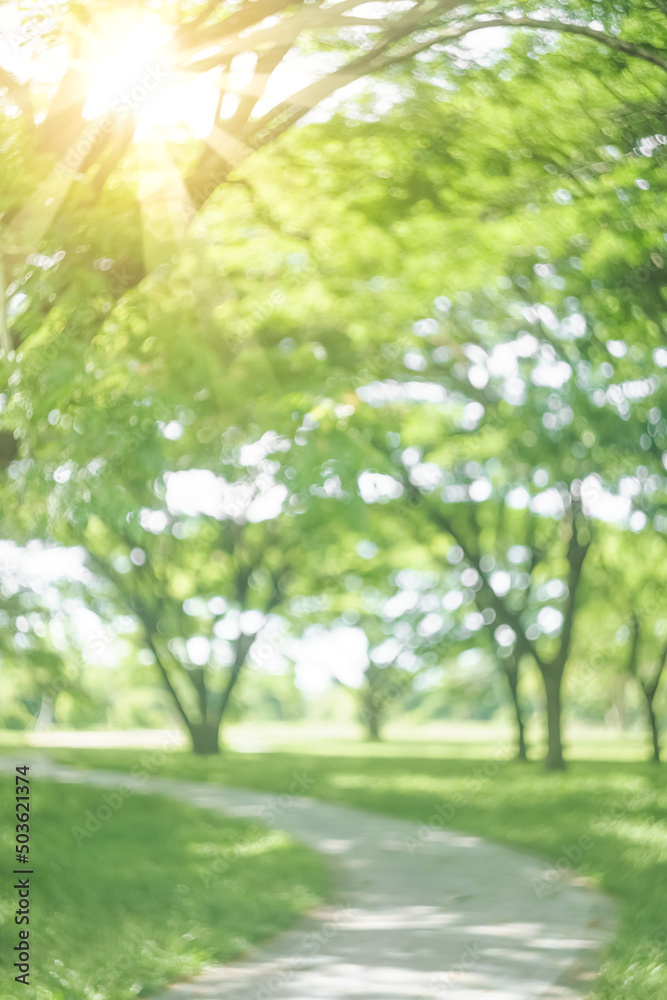 Green Nature Sun
