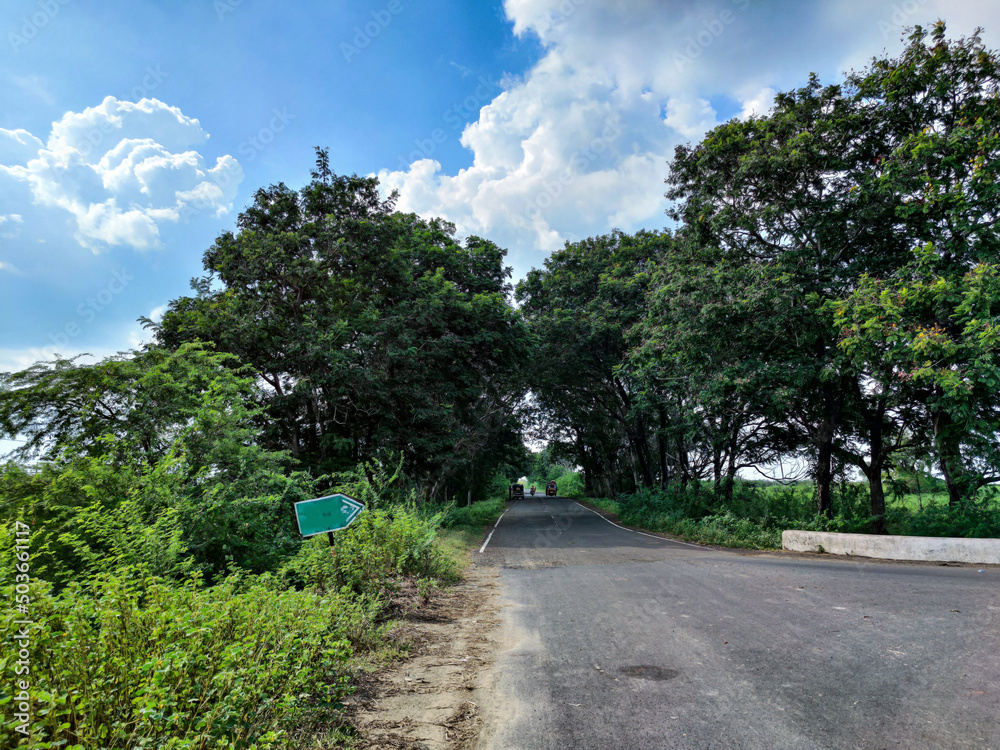 Photo Stock Vibrant Springtime Scenic View of asphalt road connected to ...