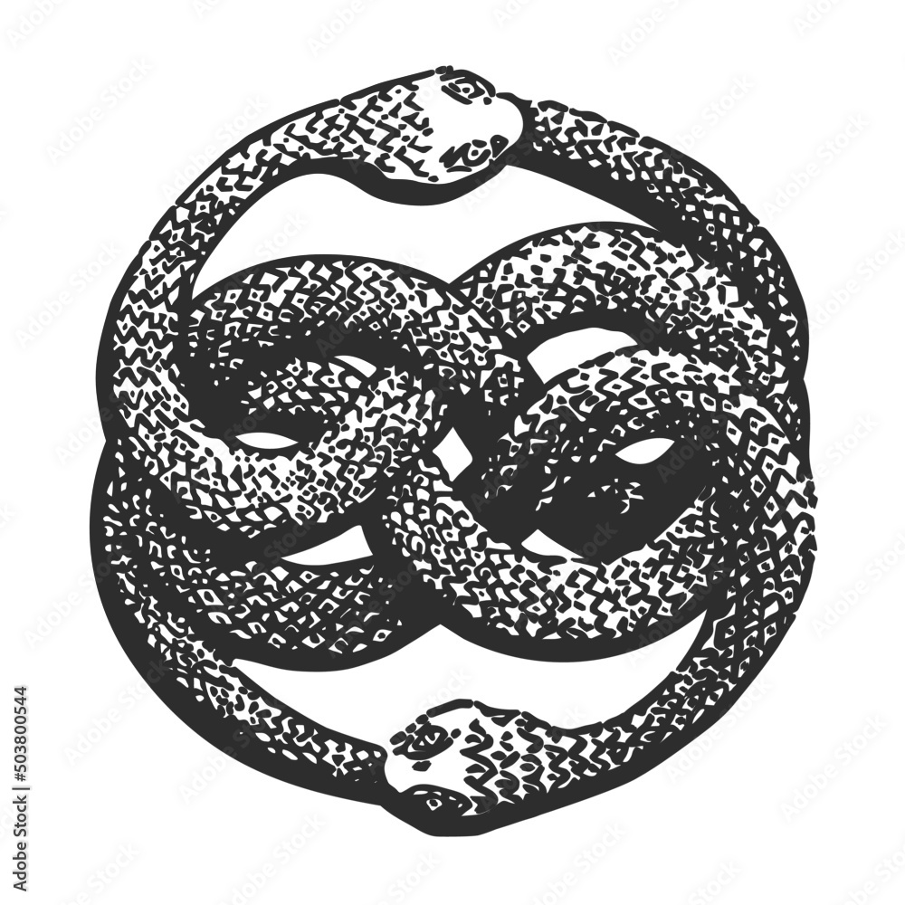 Snakes vector T shirt design. Infinity symbol svg. Snake printable ...