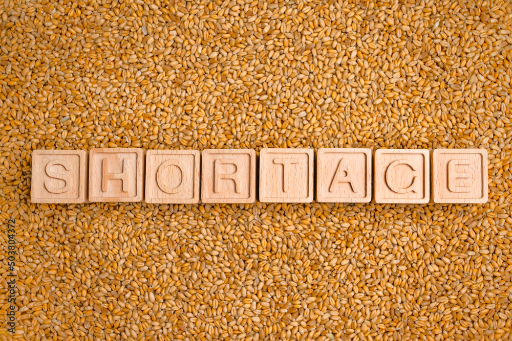 Wheat word on wooden blocks and plant background. Nature farming ...