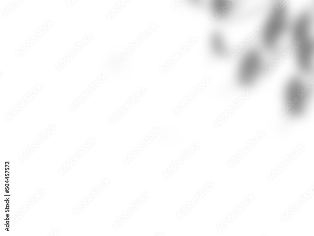 Botanic shadows overlay, Photoshop overlay, Plant tree flower Shadow ...