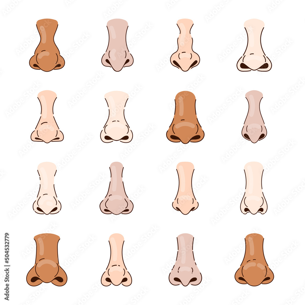 Different human noses cartoon illustration set. Male and female noses ...