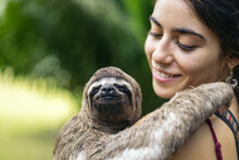 Sloths Hugging Free Stock Photo - Public Domain Pictures