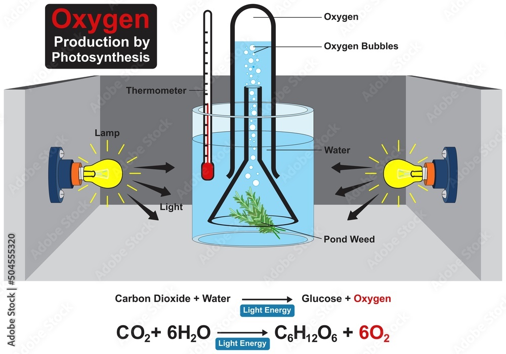 Oxygen Diagram Chemistry