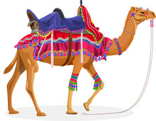 Camel Vintage Illustration Free Stock Photo - Public Domain Pictures
