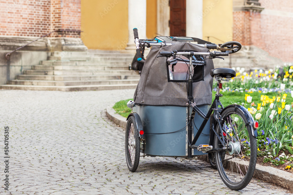 Bicycle with bike trailer for kids and babiest riding in the park on ...