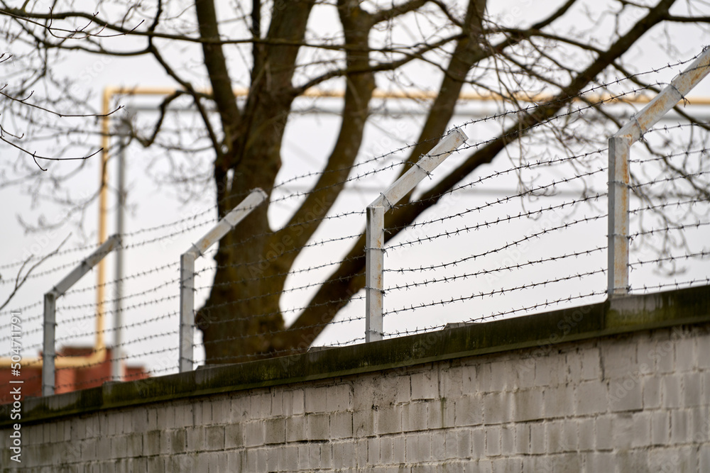 Fenced area. Covered with barbed wire. Metal barbed cut wire on strong ...
