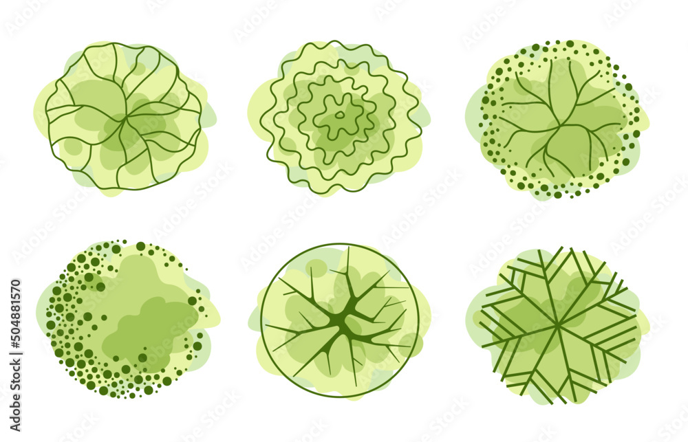 Trees top view. Entourage design. Various trees, bushes, and shrubs ...