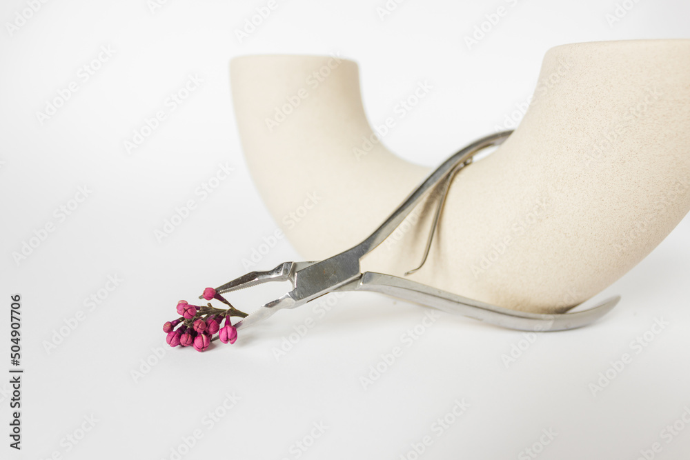 Dental forceps for removing the root of the tooth isolated on the white ...