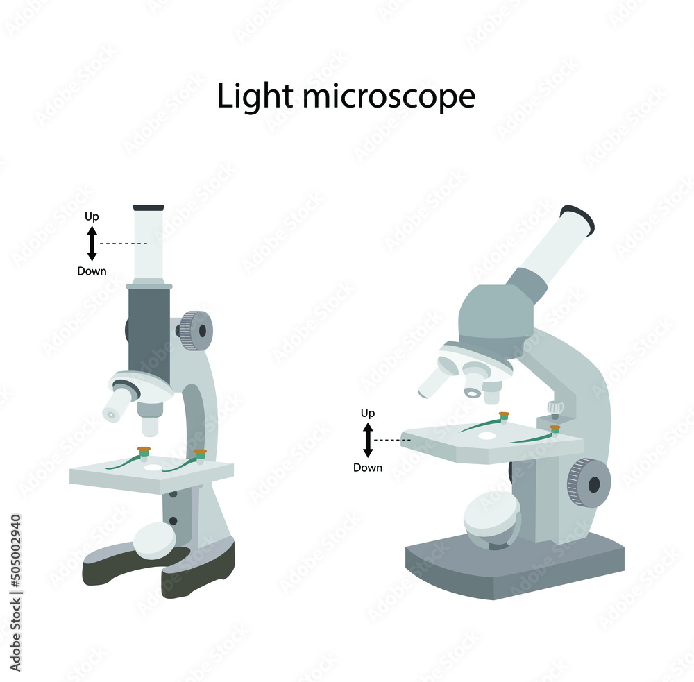 illustration of biology and physics, Light microscope, The light ...