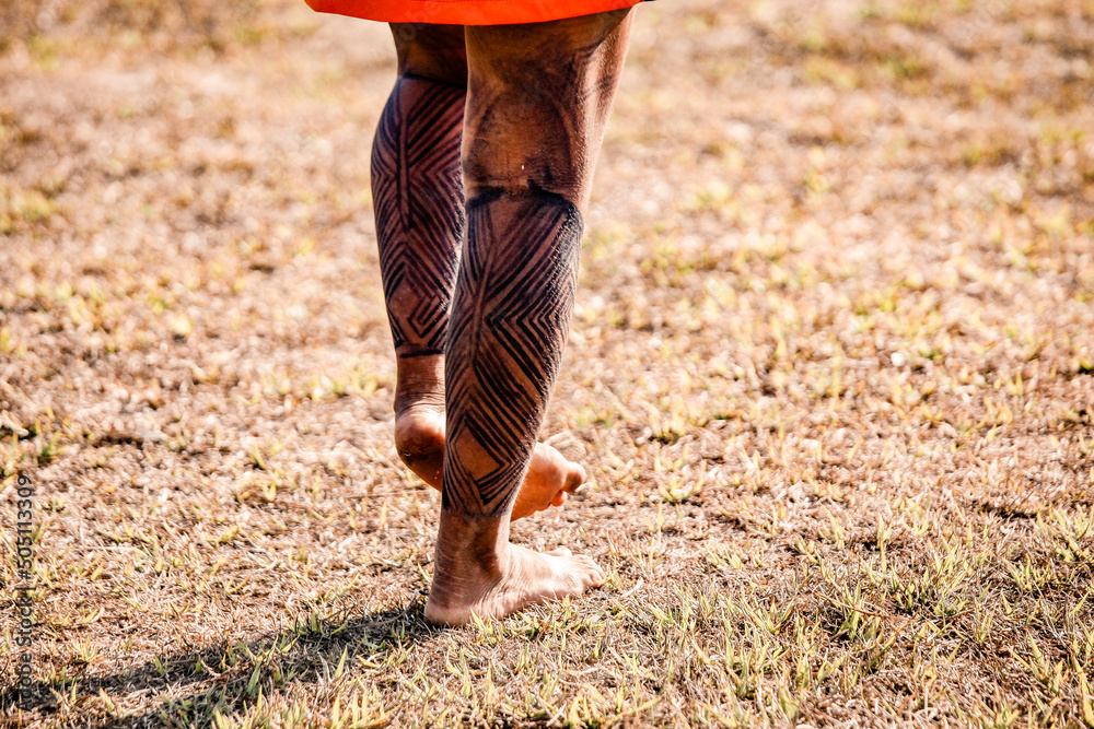 Painted leg of indian man from the Asurini indigenous tribe, Xingu ...