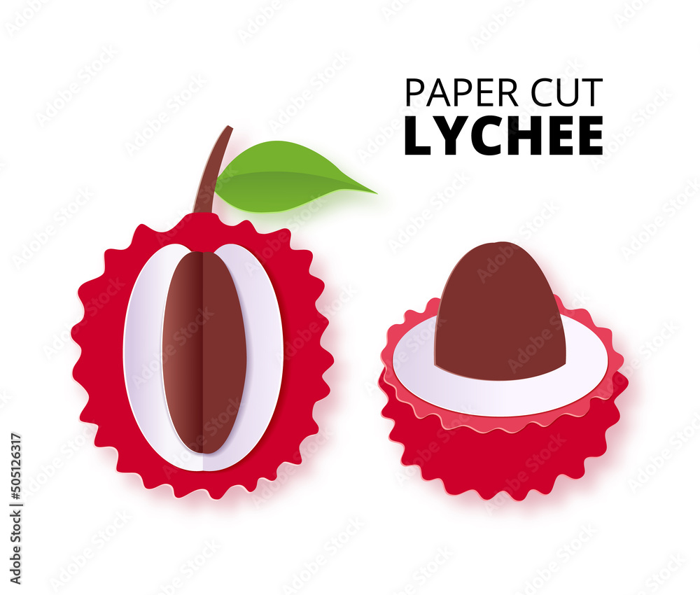 Set of lychee fruit sliced whole in a paper cut style. Lychee slices ...