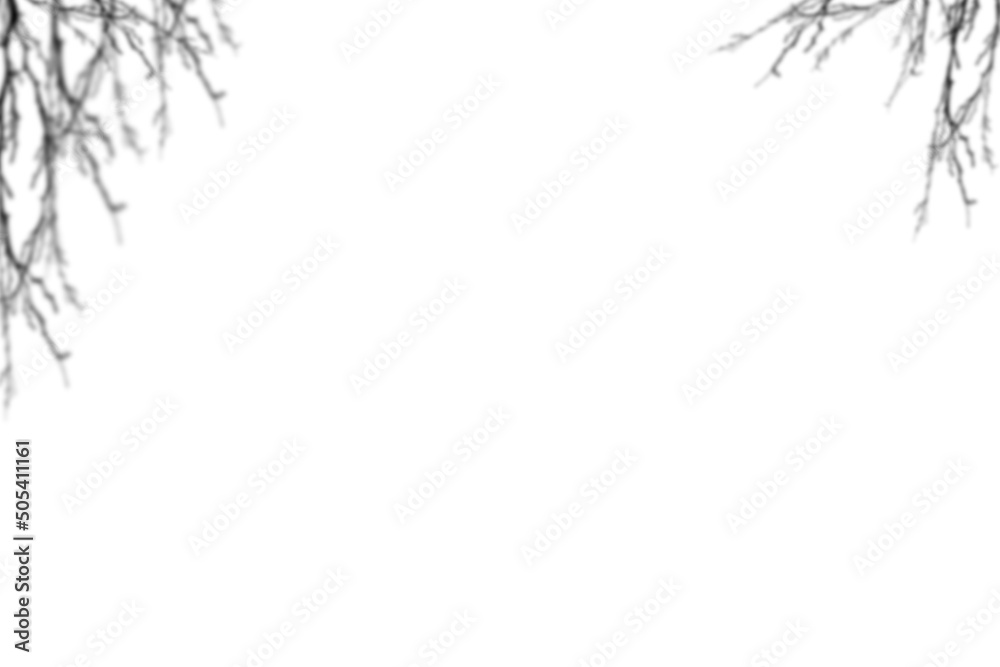 Bare branches, trees overlays, dry branches, branch Photoshop overlay ...
