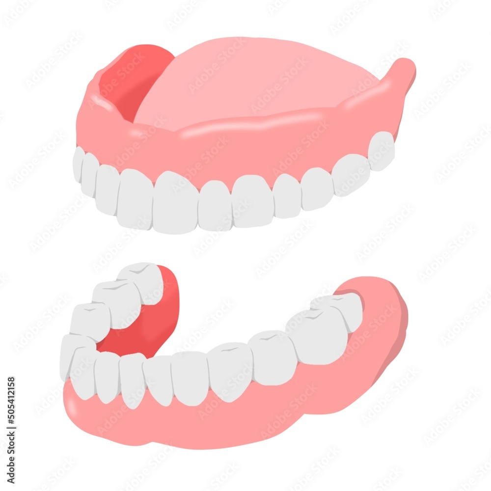 Simple Clip Art of Dentures Stock Illustration | Adobe Stock