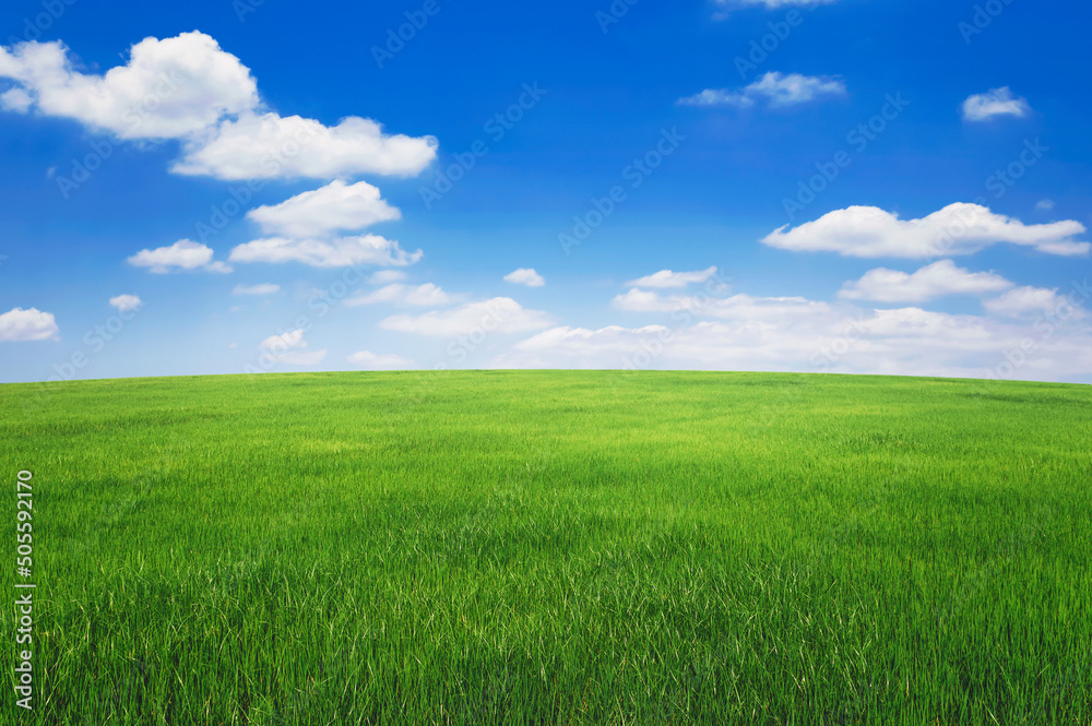 Grass landscapes store