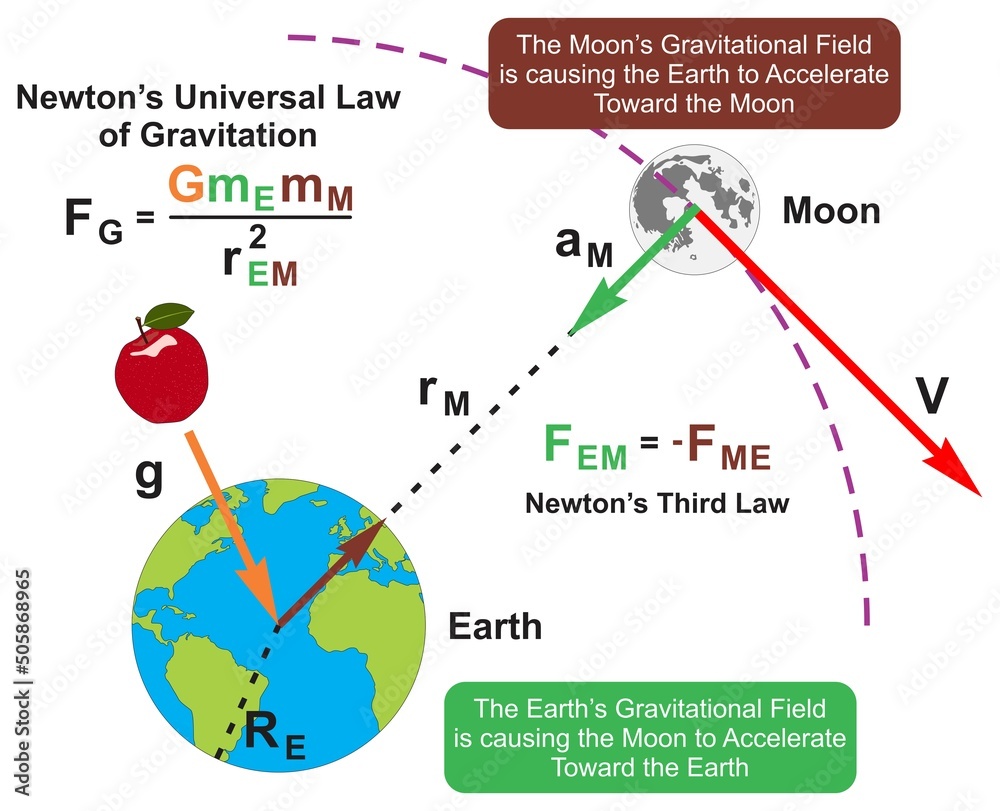 Newton universal law of gravitation infographic diagram physics science ...
