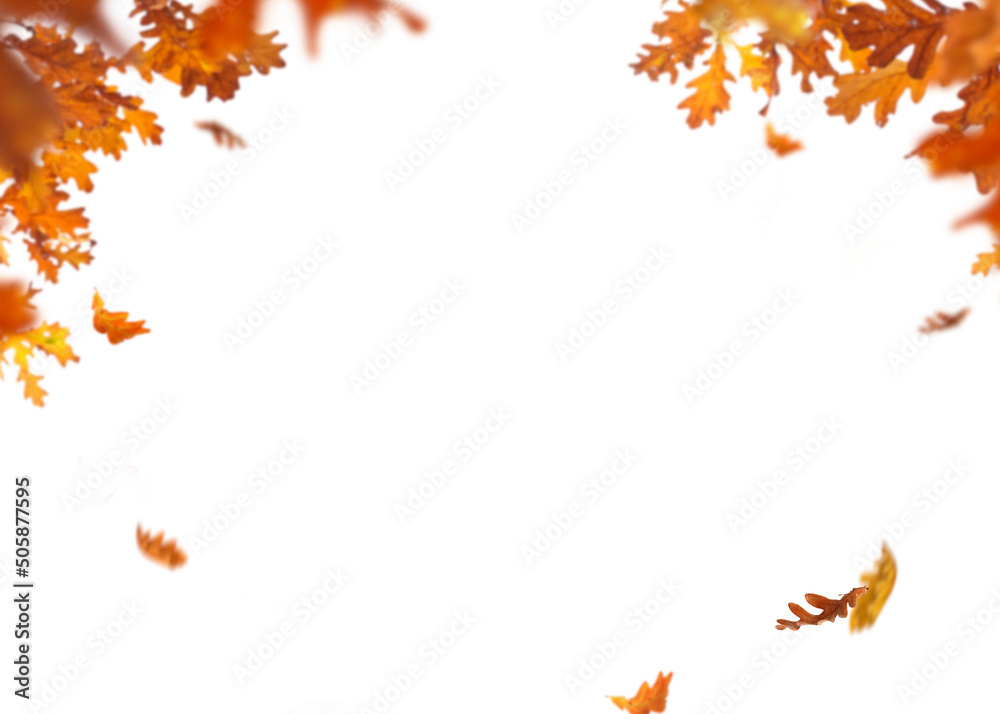 Autumn Set Photo Overlays Falling Leaves, fog, rain, sun, light ...