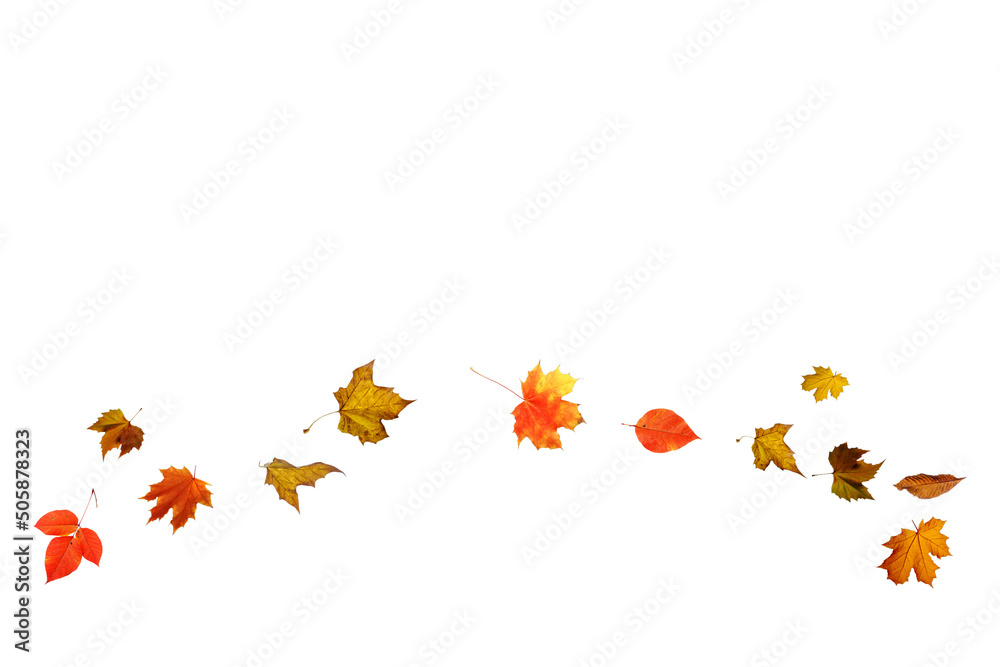 Autumn Set Photo Overlays Falling Leaves, fog, rain, sun, light ...