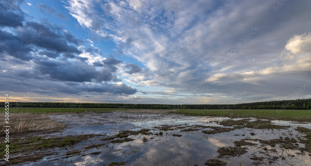 A large puddle in the middle of a plowed field. Swampy field, evening ...
