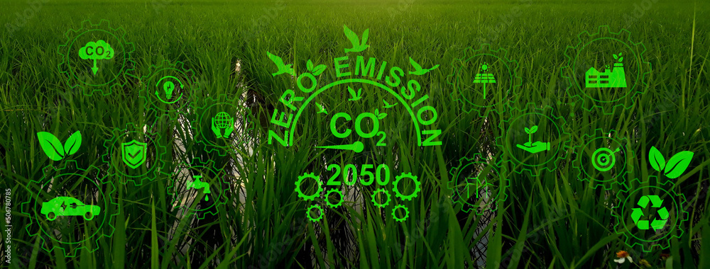 Net Zero - Icon with Net Zero on green rice fields. Net Zero and Carbon ...