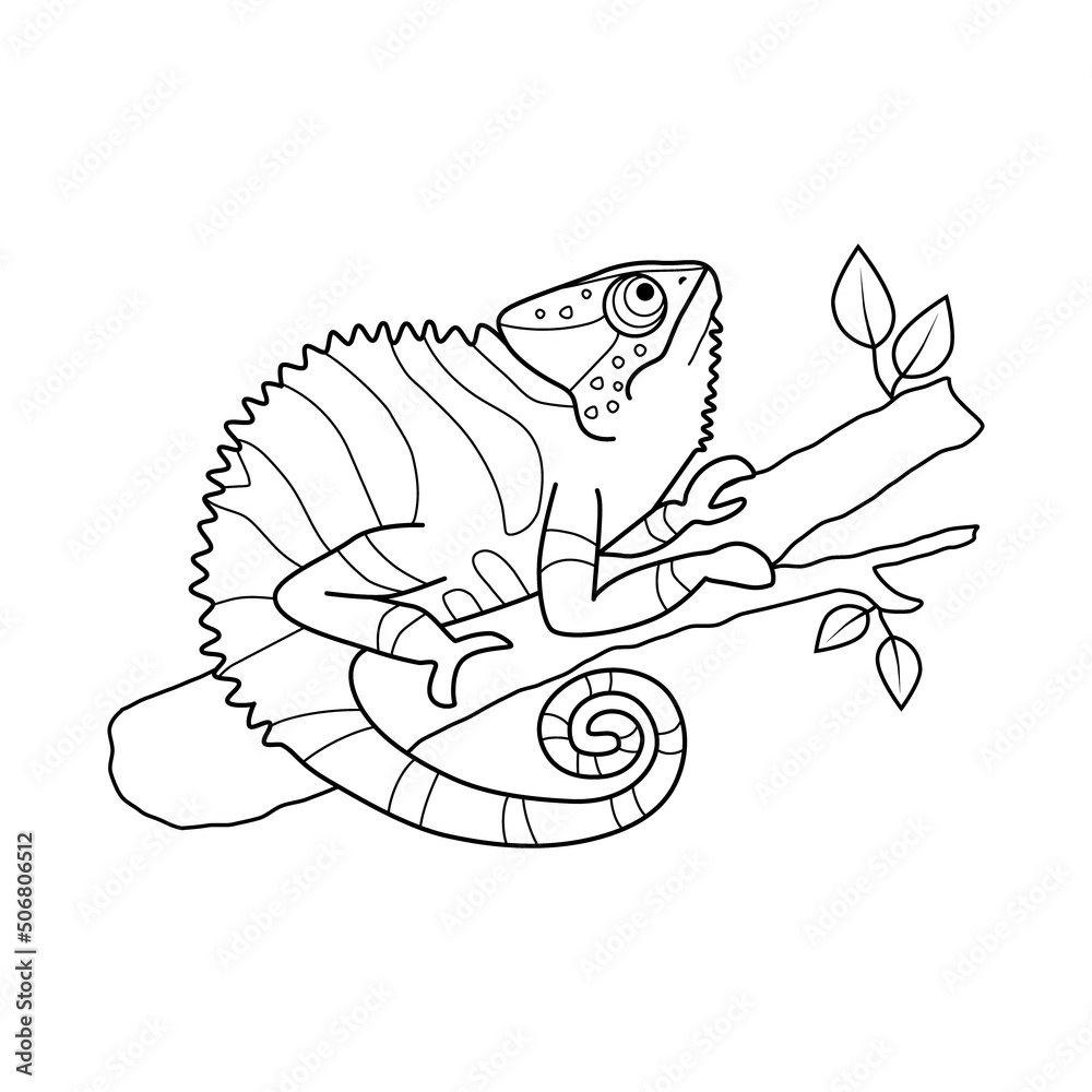 Stock vector outline black and white chameleon sitting on a tree branch ...