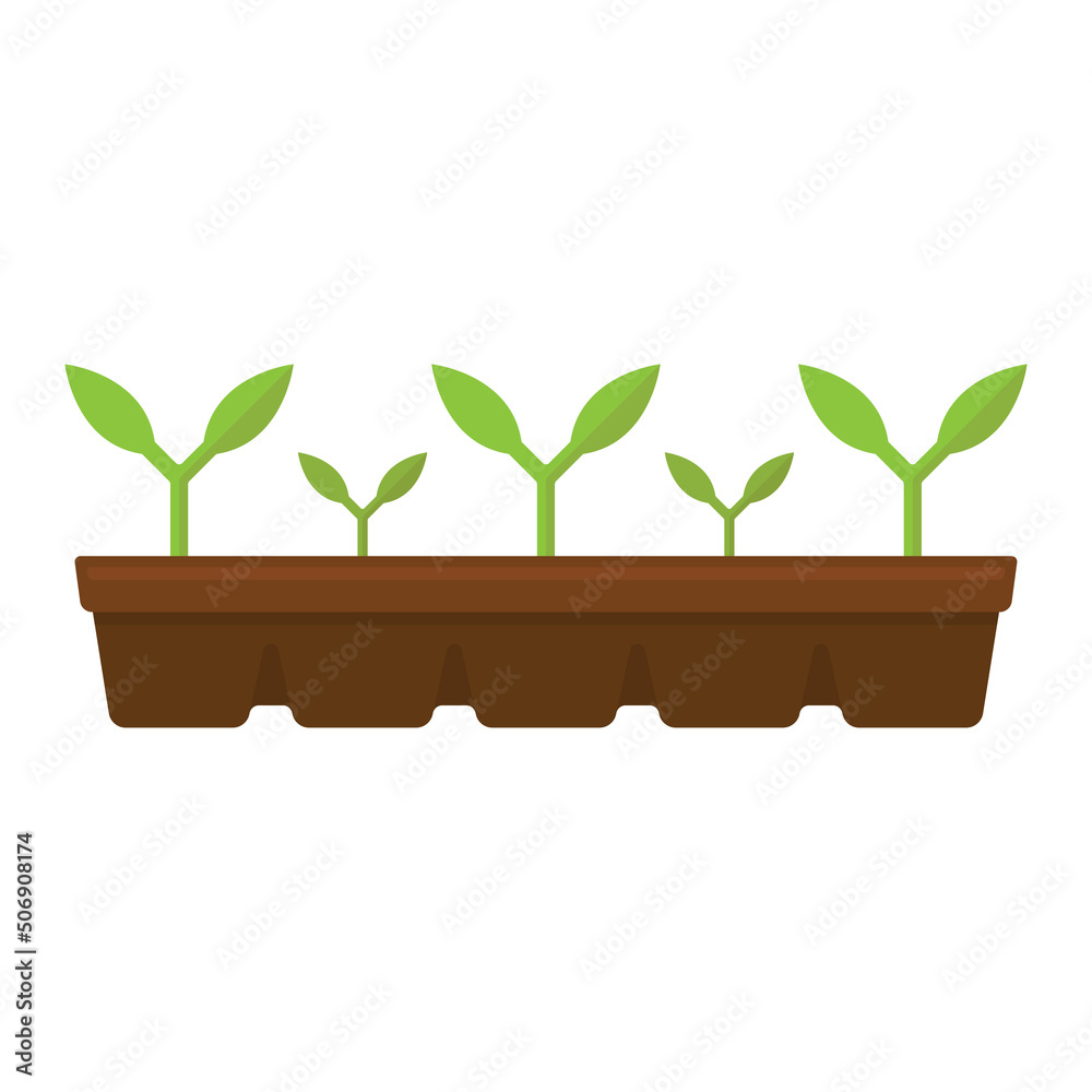 Saplings in pots icon. Plant in a tray. Color silhouette. Horizontal front side view. Vector ...