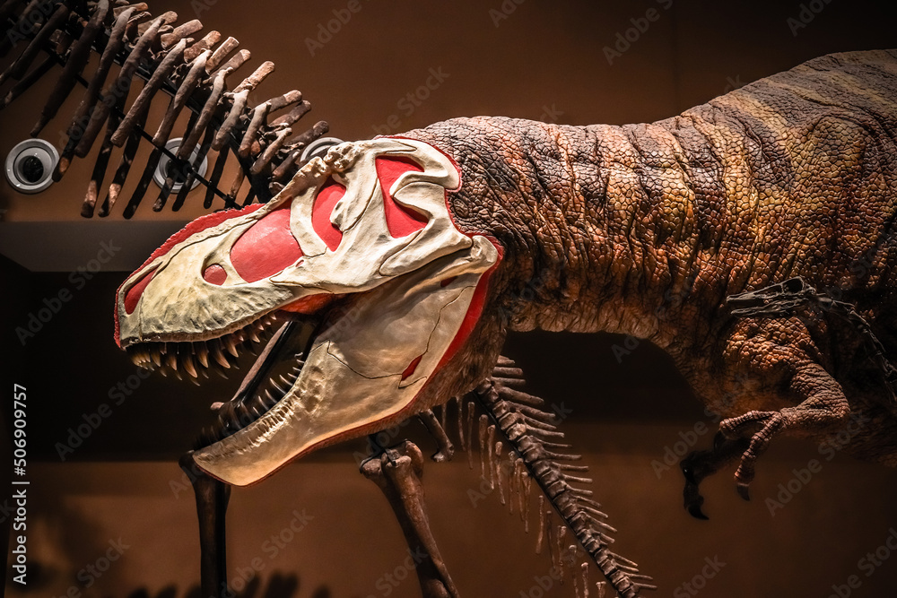Shanghai, China - April 13 2018: Realistic life size replica model of T ...