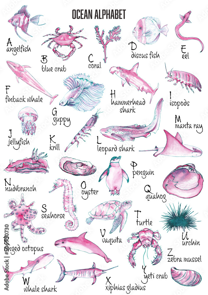 Illustration Stock Ocean alphabet. Abc poster with sea animals. Ocean ...