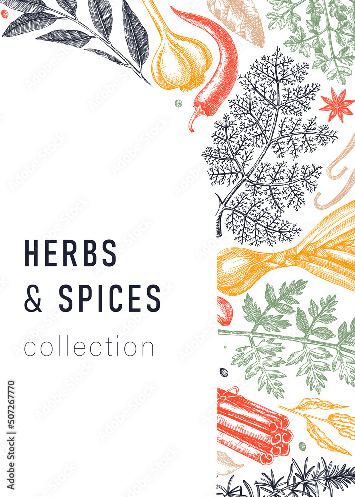 Hand-drawn herbs and spices vector card in color. Hand-sketched food ...