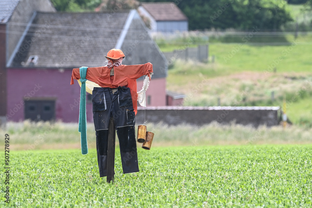 Photo Stock agriculture environnement culture agricole wallonie farming ...