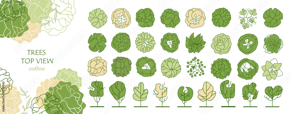 Tree for architectural floor plans. Entourage design. Various trees ...