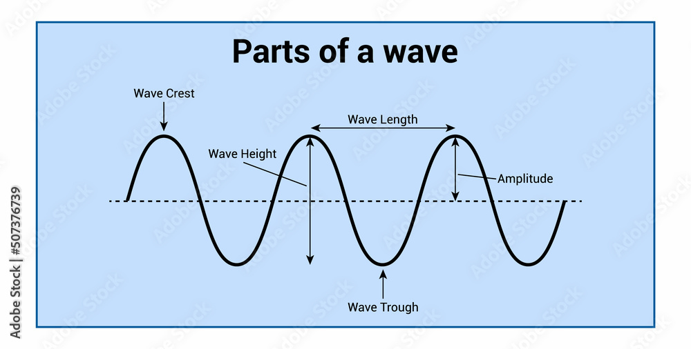 label the parts of a wave vector illustration isolated on white ...