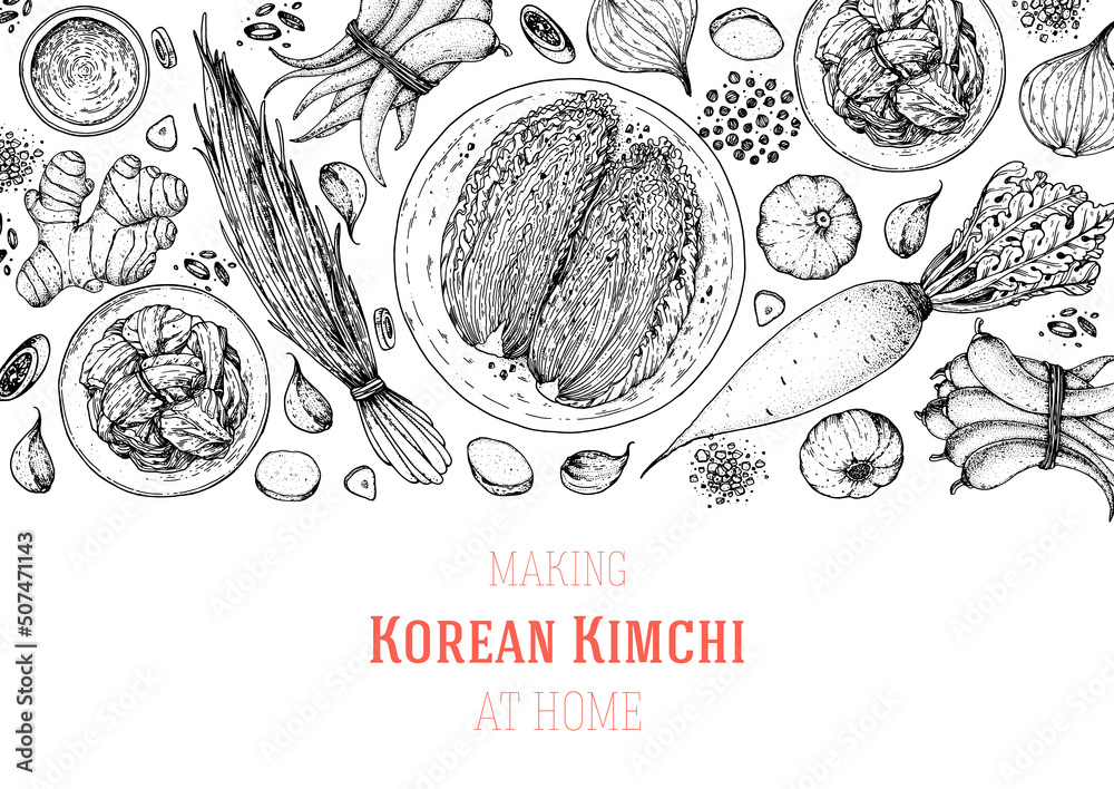 Kimchi cooking and ingredients for kimchi, sketch illustration. Korean ...