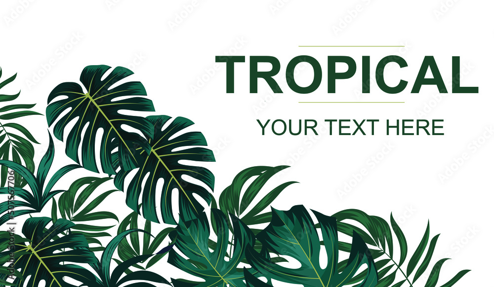 Seamless jungle background. Vector illustration Stock Vector | Adobe Stock