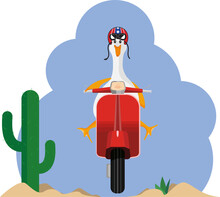 Cartoon, Illustration, Duck, Scooter Free Stock Photo - Public Domain ...