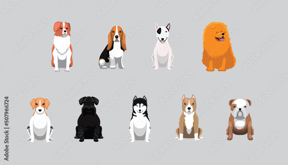 Dog Medium Size Breeds Sitting Cartoon Vector Illustration Set Stock ...