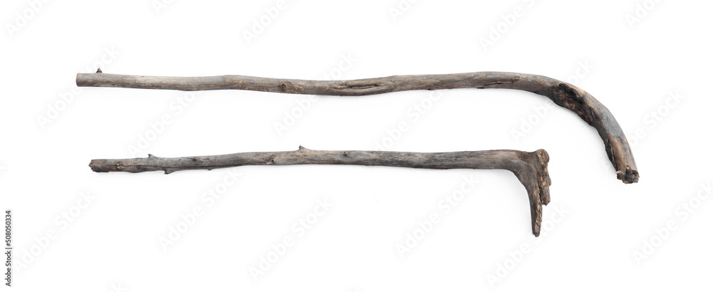 ancient shepherd cane isolated on white background Stock Photo | Adobe ...