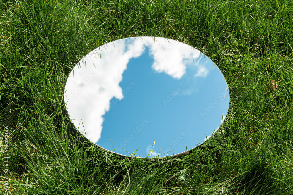 Mirror Images In Nature