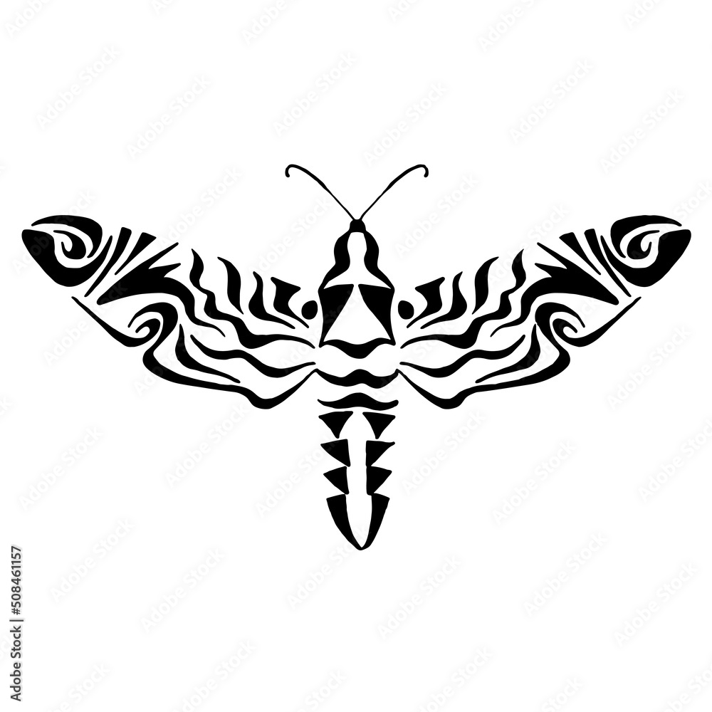 Butterfly dead head sketch drawing logo. Moth drawing stylized. Black ...